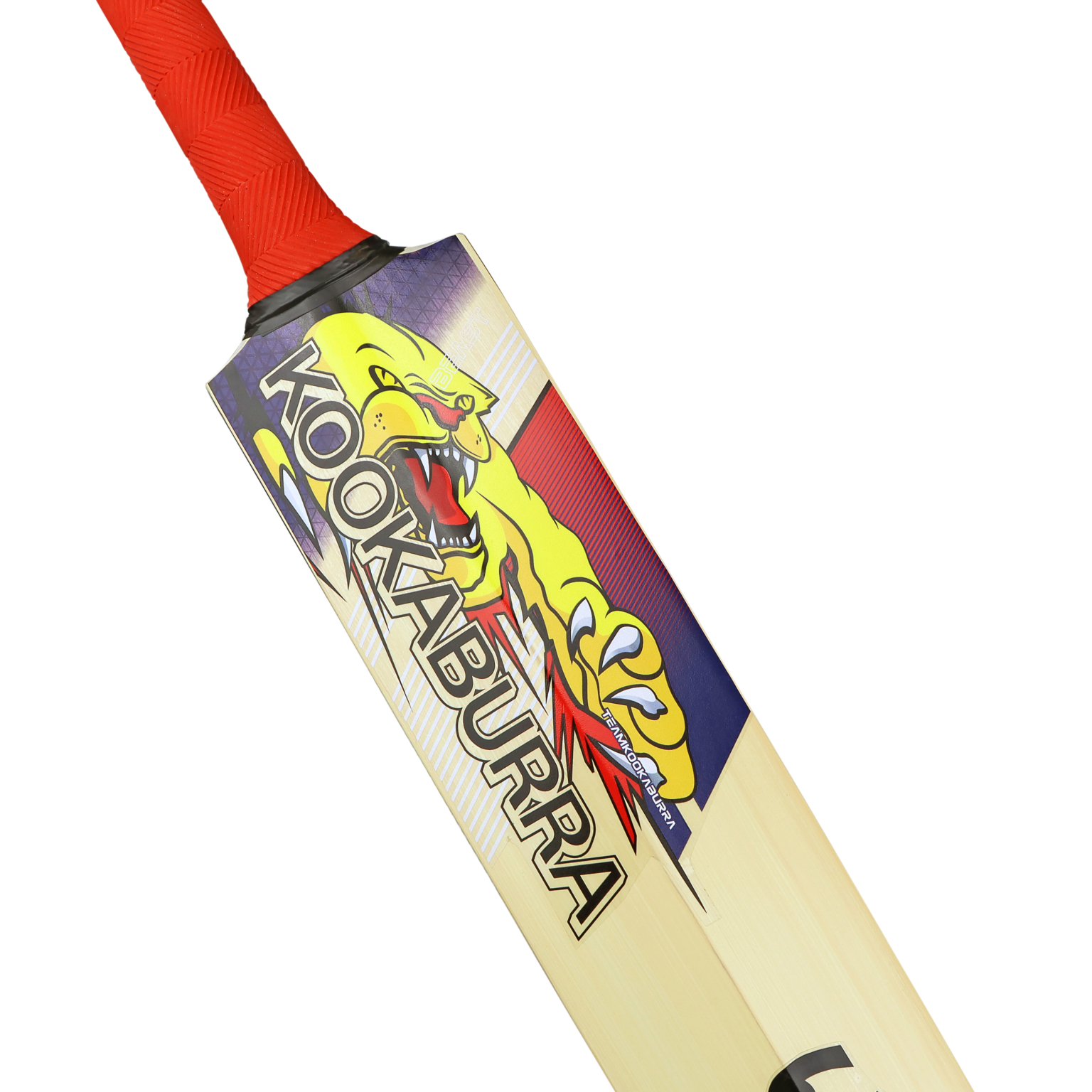 KOOKABURRA CRICKET BAT BEAST PRO 9.0 YOUTH - Canterbury Sports Wholesale